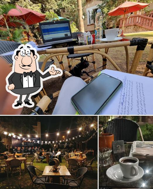 KMT house restaurant, Egypt - Critiques de restaurant