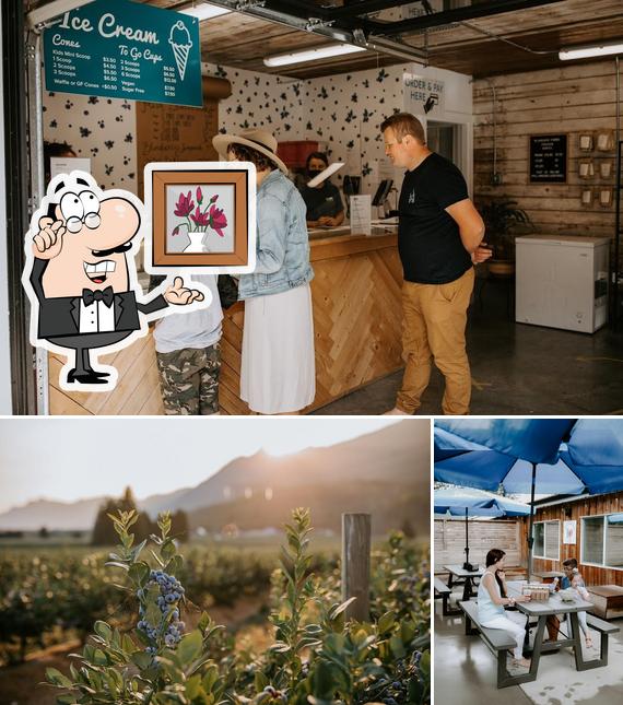 Klaassen Farms in Chilliwack - Restaurant reviews
