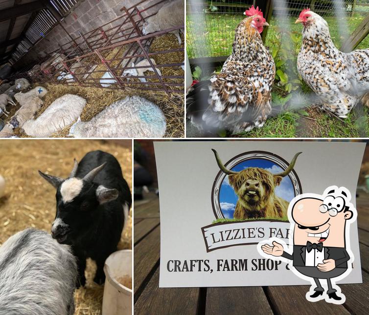 Lizzie's Farm in Bromsgrove - Restaurant reviews