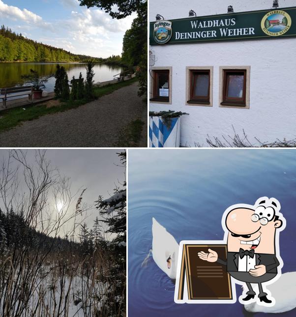 Waldhaus Deininger Weiher, Straßlach-Dingharting - Speisekarte, Preise ...