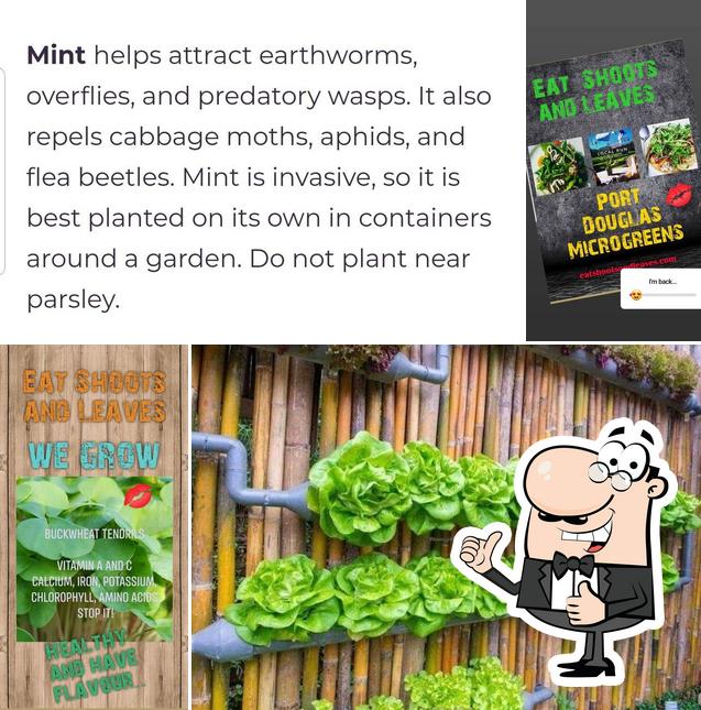 Eat Shoots and Leaves in Port Douglas - Restaurant reviews