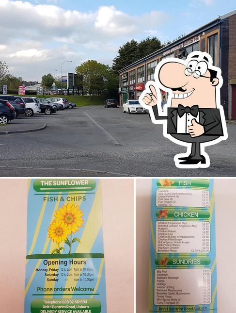 Sunflower DW Ltd, Unit 1 Bentrim Rd in Lisburn - Restaurant menu and ...
