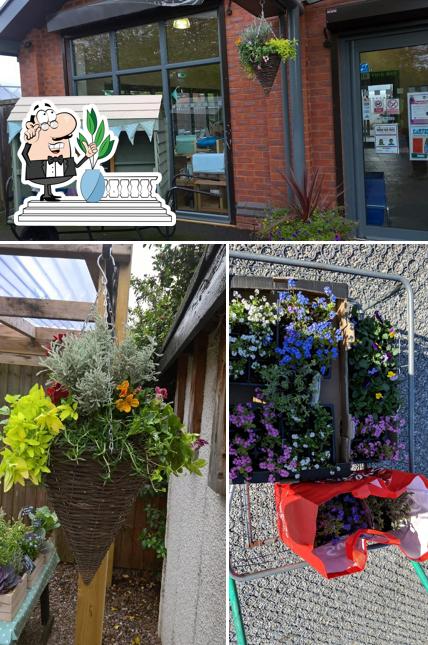 Bromborough Pool Garden Centre in Birkenhead - Restaurant reviews