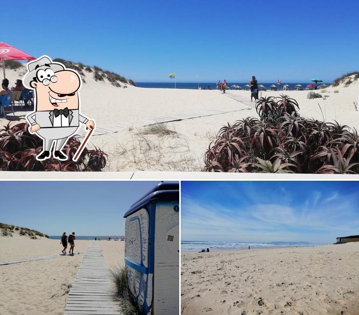 O Praia do Rei, Costa da Caparica - Menu do restaurante, preços e opiniões