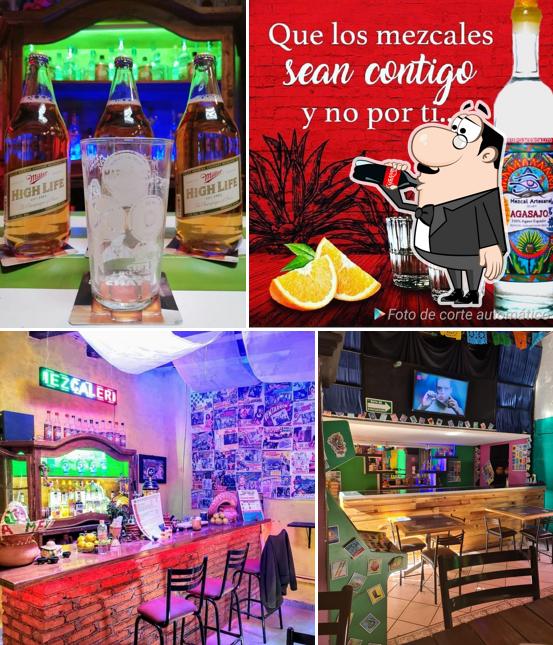 Mezcaleria pachupa pub & bar, Santiago de Querétaro - Restaurant reviews