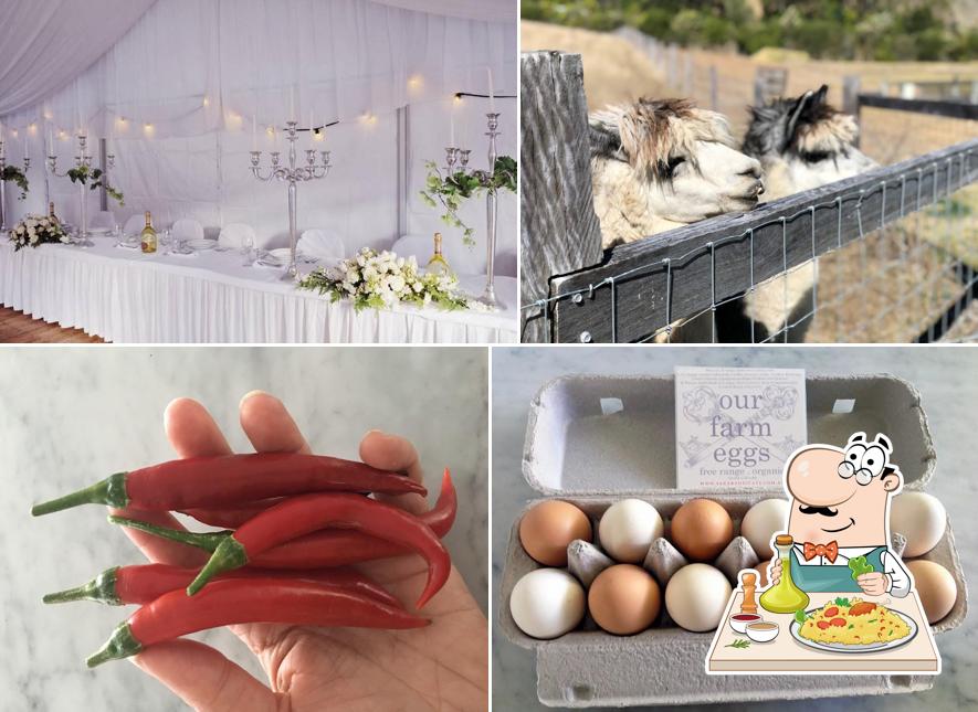 Sarabah Estate Vineyard, 46 Rymera Rd in Sarabah - Restaurant reviews