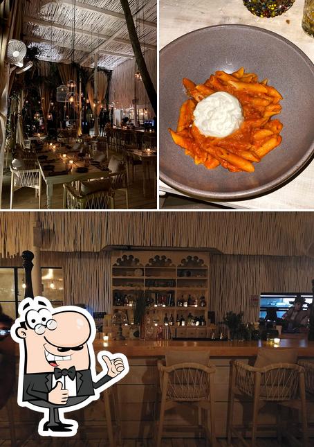 Rustico Divina Tierra restaurant, Mexico, QROO 15 60 - Restaurant reviews
