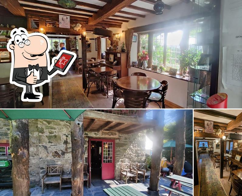 Best cafes in Llanrhaeadr-ym-Mochnant, spring 2024 - Restaurant Guru