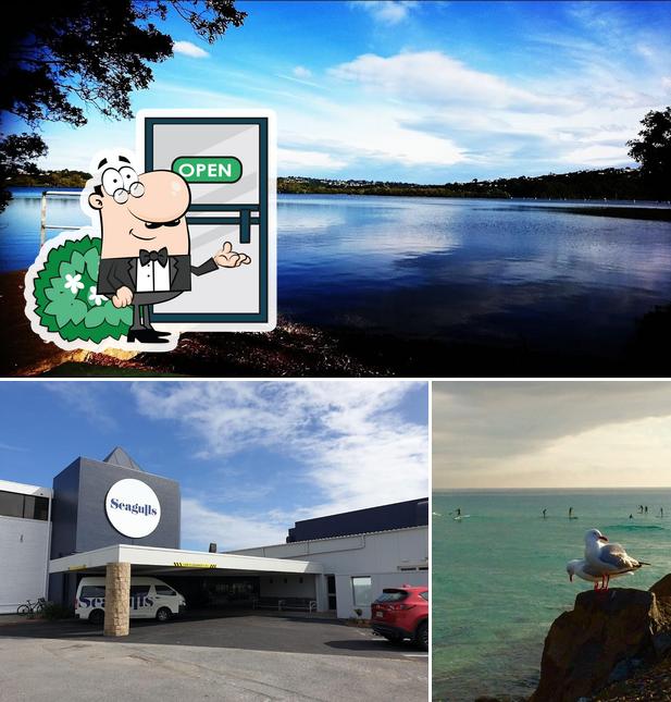 Seagulls Club, Tweed Heads West - Restaurant menu, prices and reviews