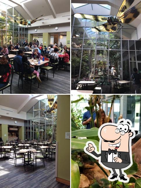 Acro Cafe, Raleigh - Restaurant menu, prices and reviews