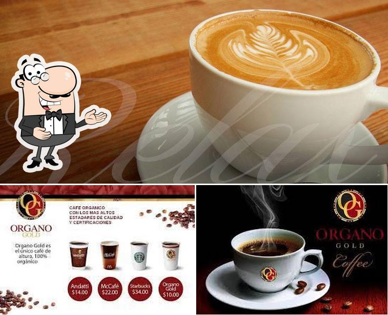 Organo Gold Café, Santiago de Querétaro