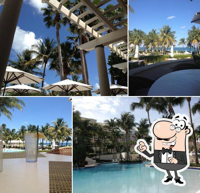 Ocean Club Beach Bar & Grill in Key Biscayne - Restaurant reviews