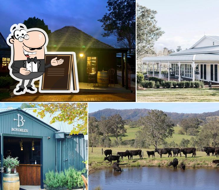 Boydell's in Morpeth - Restaurant reviews