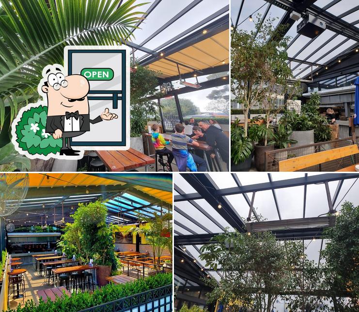 Pub y bar Blue Ox Babe, Pukekohe - Carta del restaurante y opiniones