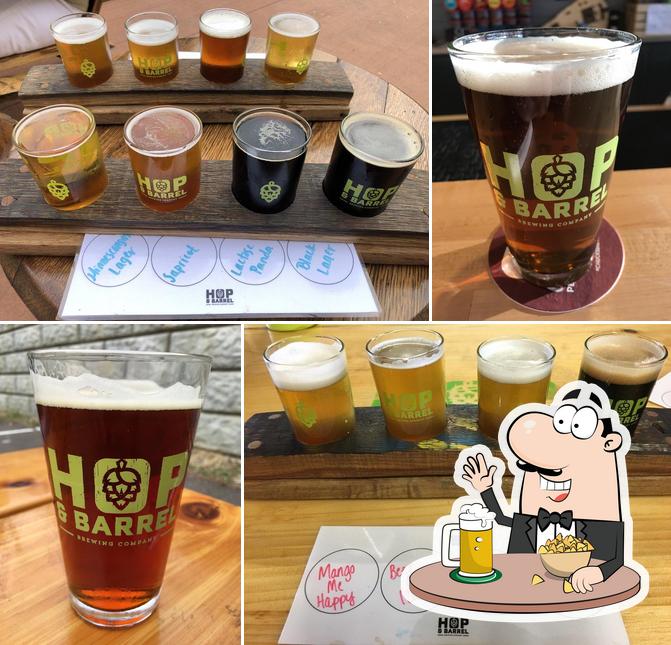 Hop & Barrel Brewing in Hudson - Restaurant reviews