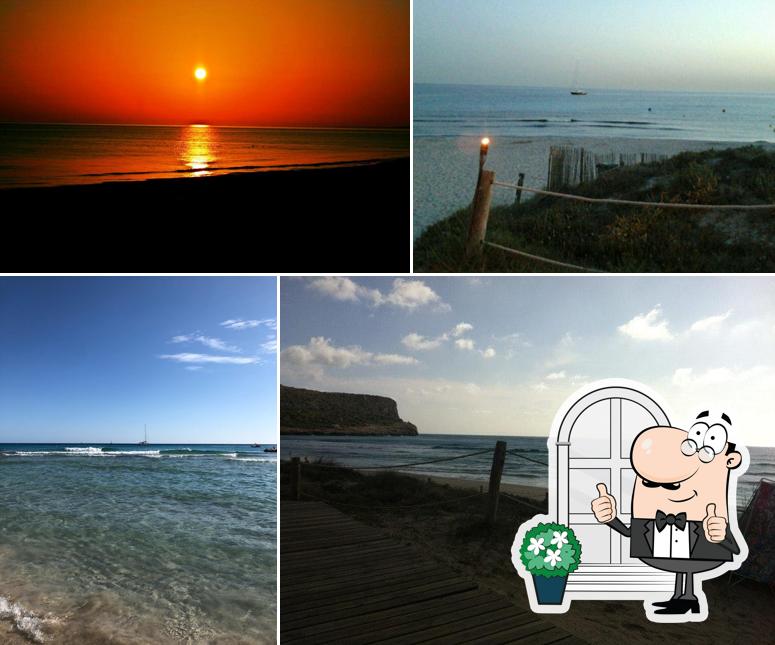 Sunset Beach Bar in Son Bou - Restaurant reviews