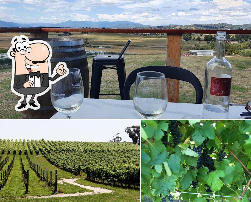 Billanook Estate, Chirnside Park - Restaurant menu, prices and reviews