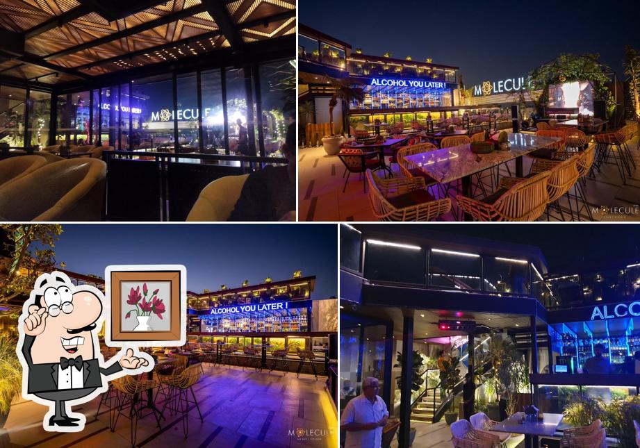 Molecule Agra, Agra - Restaurant menu, prices and reviews