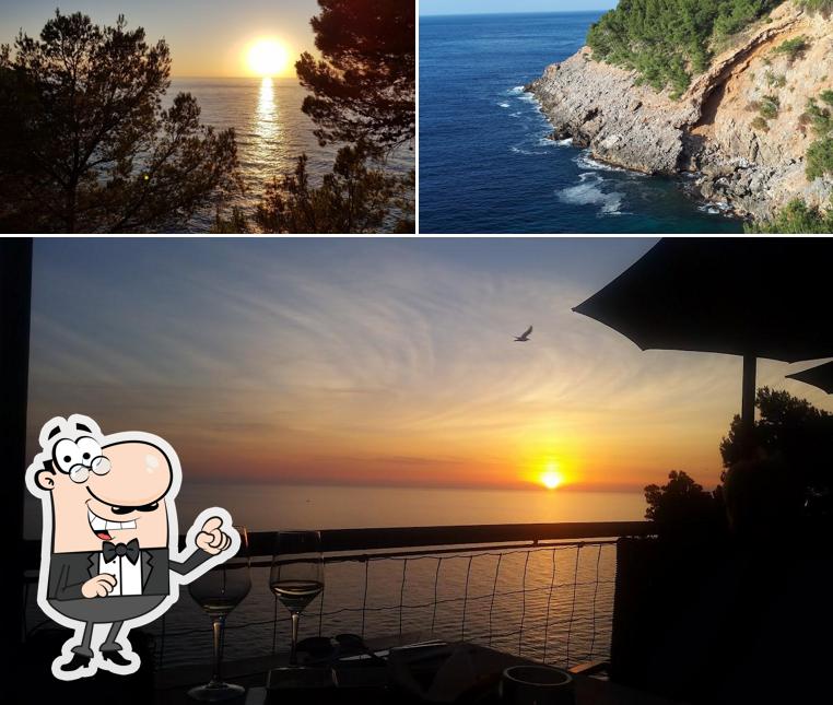 Restaurant Nautilus, Puerto de Sóller - Menú del restaurante, precios y ...