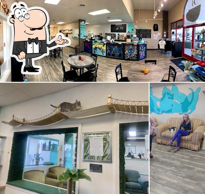 Mochas and Meows in Branson - Restaurant menu and reviews
