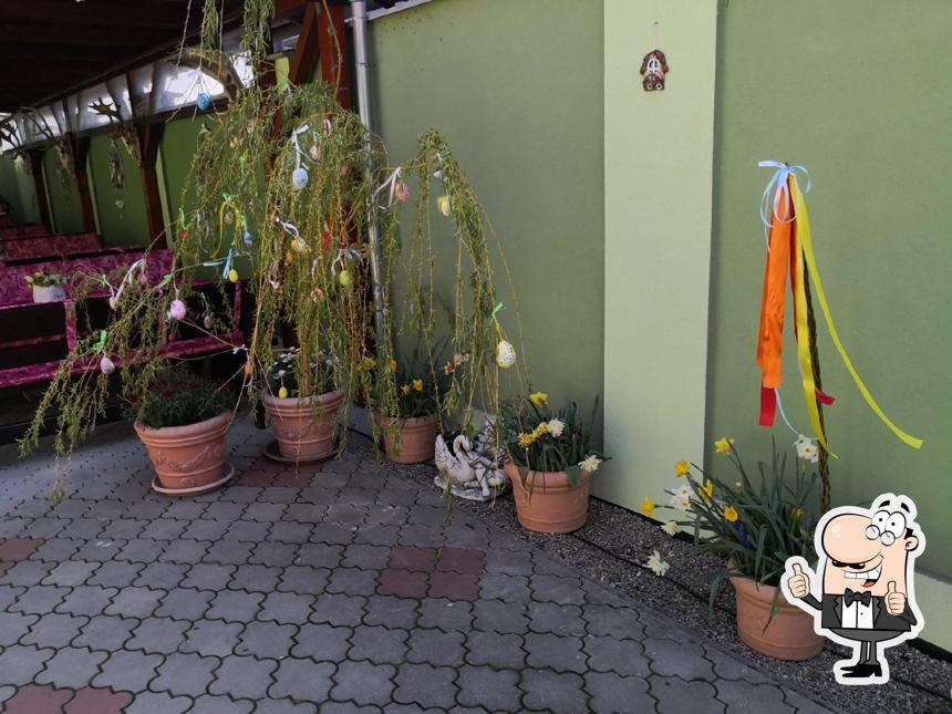 Zelený Dvor restaurant, Slovenský Grob - Restaurant menu and reviews