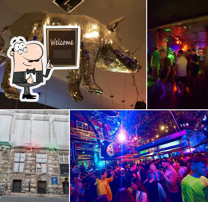 Instant-Fogas Complex club, Budapest - Restaurant reviews