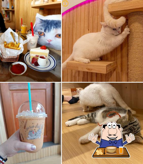 Catsmile Cafe, Bangkok - Restaurant reviews