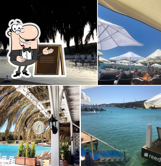 White Beach Ayayorgi, Çeşme - Restaurant reviews