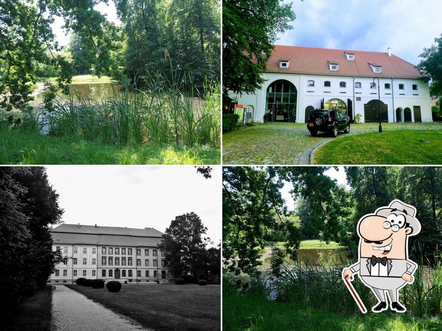 Schlossrestaurant „Zur Darre“, Lieberose - Speisekarte, Preise und ...