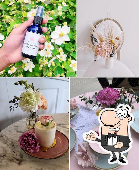 Brew and Bloom in Edmonton - Restaurant reviews