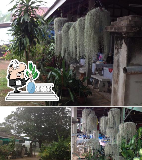 Pong_ผ่องโภชนา restaurant, Lampang - Restaurant reviews