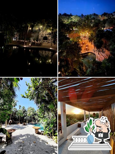 Tulum Treehouse restaurant, Mexico - Restaurant menu and reviews