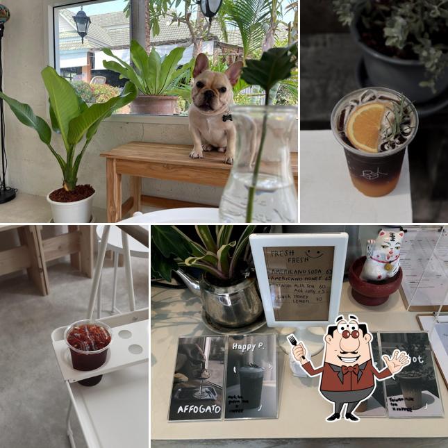 snug room café, Chiang Mai - Opiniones del restaurante