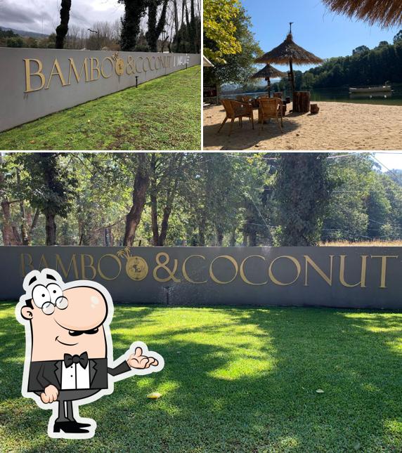Bamboo & Coconut, Amares