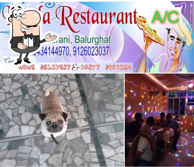 Nirala - Nivedita Restaurant, Balurghat - Restaurant menu, prices and ...