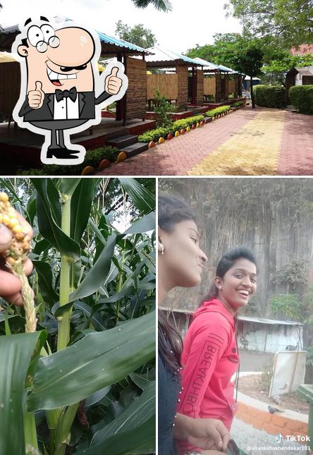 Hotel Sakshi Bar & Restarunt, Deogaon Rangari - Restaurant reviews