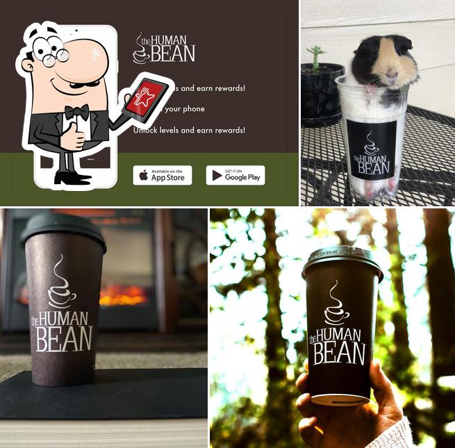 The Human Bean in Lebanon - Restaurant menu and reviews