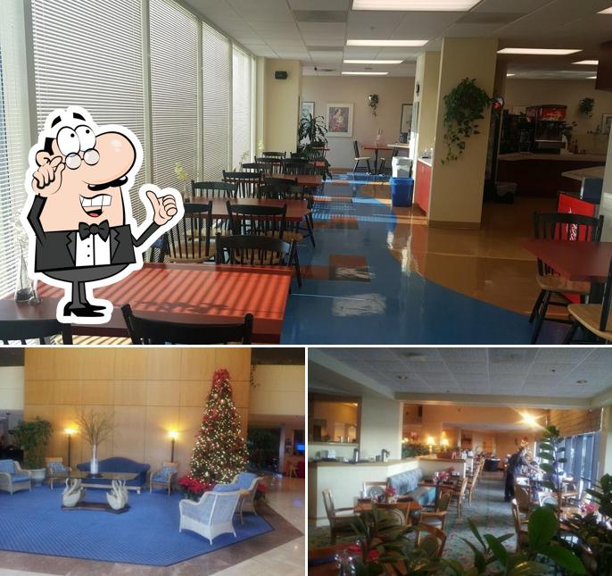 Harborview Cafe in Tampa - Restaurant reviews