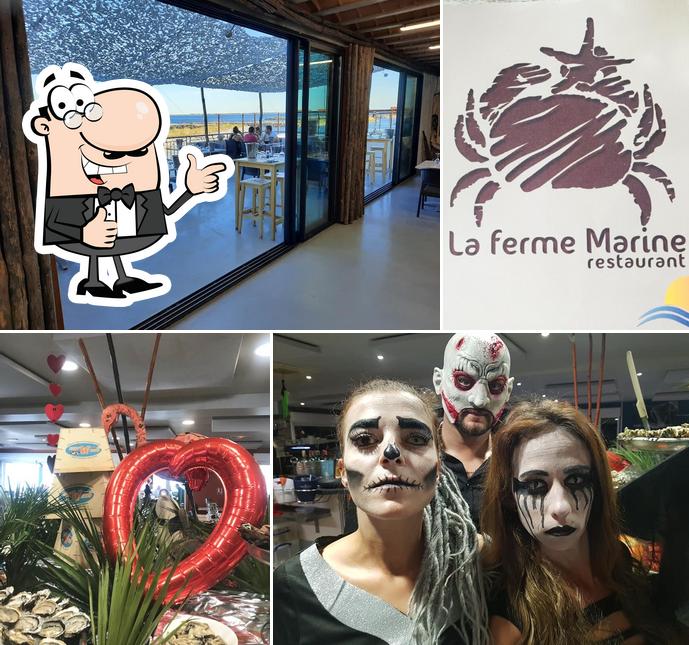 La Ferme Marine - La Tablée, Marseillan - Menu du restaurant, prix et avis