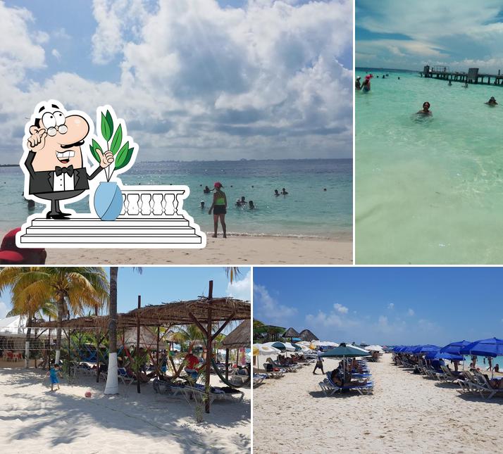 Islander Beach Club, Isla Mujeres - Restaurant reviews