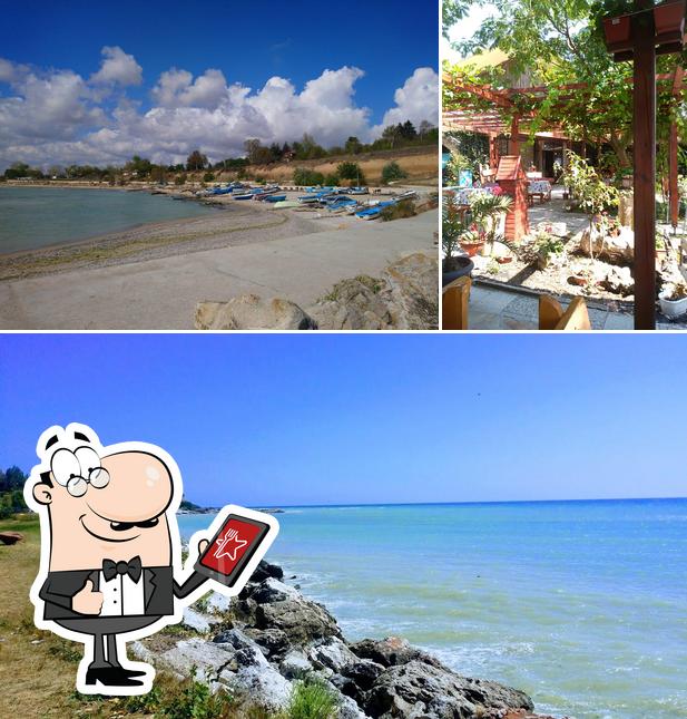 Camping Cosmos, Bulgaria - Restaurantbewertungen