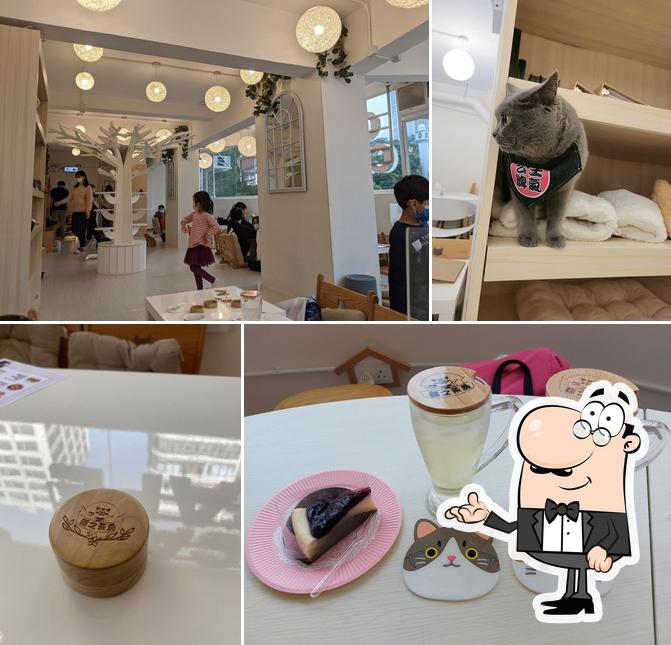 Cats Tea Room Tsim Sha Tsui cafe, Hong Kong, Haiphong Rd - Restaurant ...