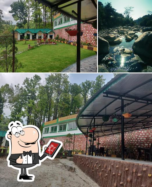 Tree house restaurant, Dehradun - Restaurant reviews