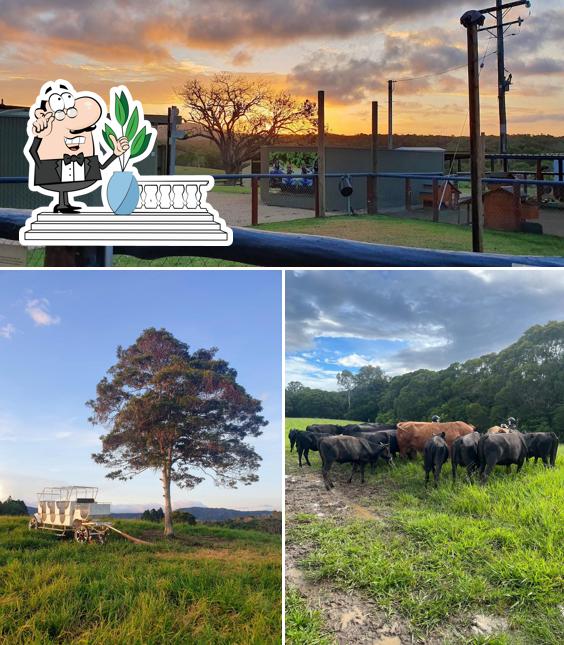 KUR-Cow Barnwell Farm, Kuranda - Restaurant menu, prices and reviews