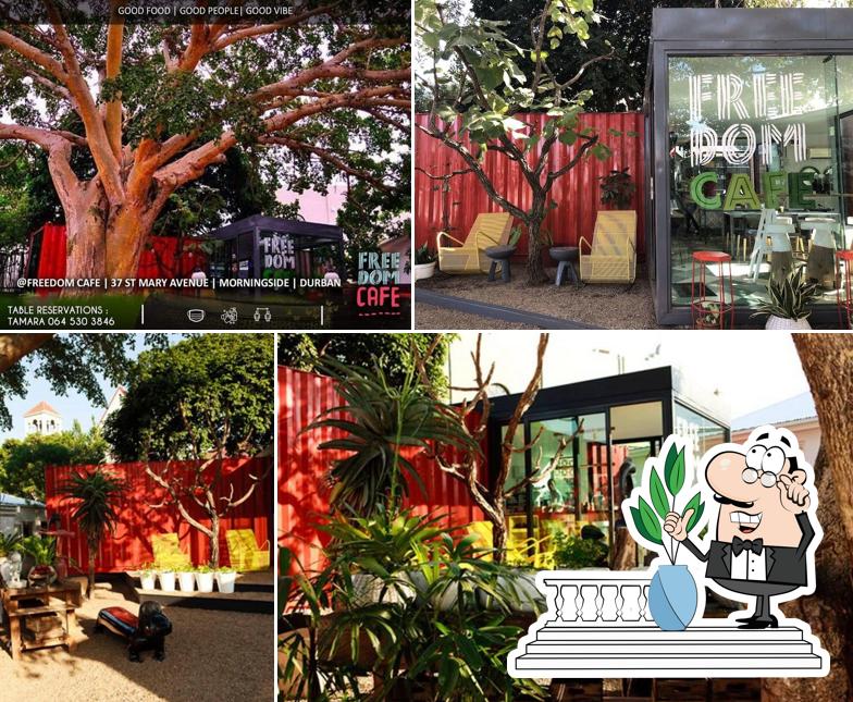 Freedom Café, Durban - Restaurant menu, prices and reviews