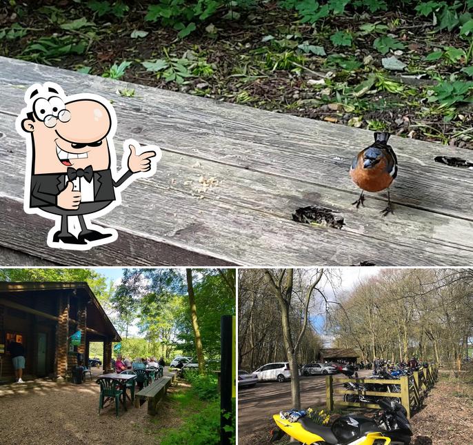 Fimber Cafe (Log Cabin) - Restaurant menu, prices and reviews