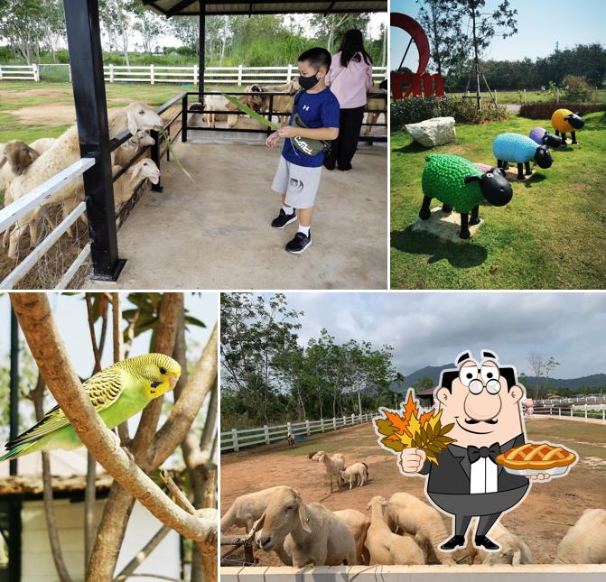 Chang Cafe Rayong, Thailand - Restaurant reviews