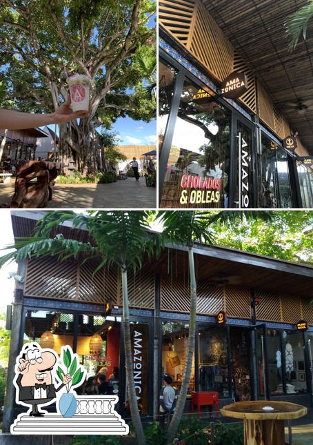Amazonica, Miami - Restaurant menu, prices and reviews