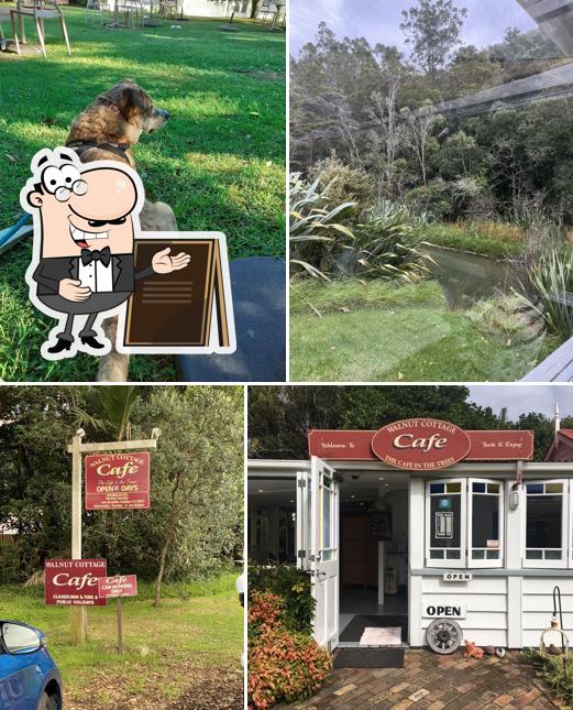 Walnut Cottage Cafe, Orewa - Restaurant menu, prices and reviews