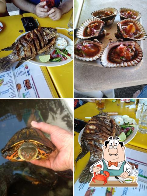 Todos los sitios para comer y beber en Puerto Arista, invierno 2024 ...